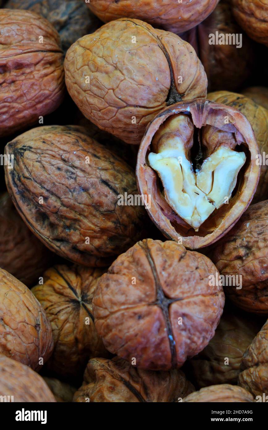 Walnuts in the shell hi-res stock photography and images - Alamy