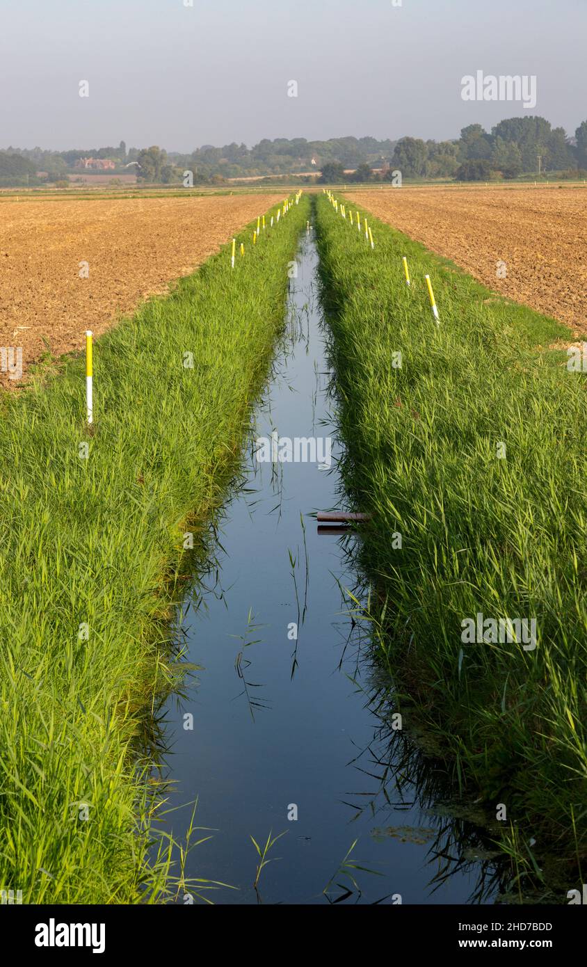 Drainage ditch draining water from farmland in former marshes ...