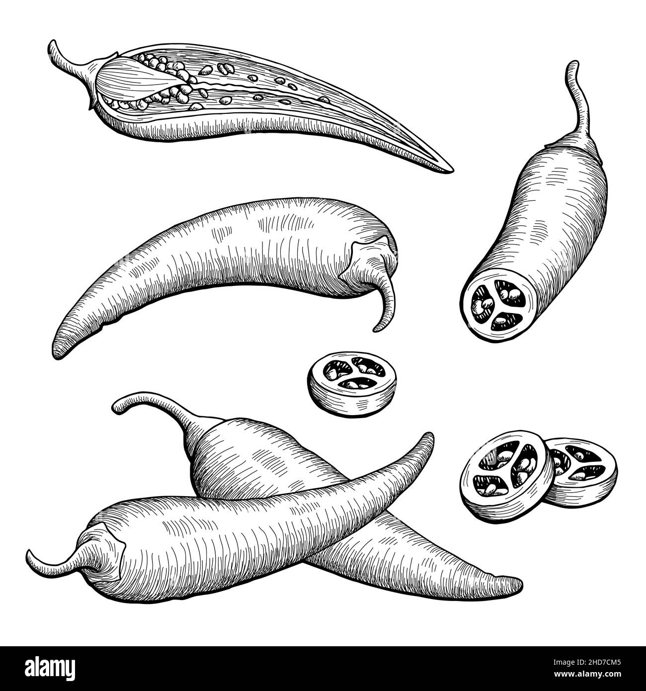 Chilli pepper graphic black white isolated sketch illustration vector ...