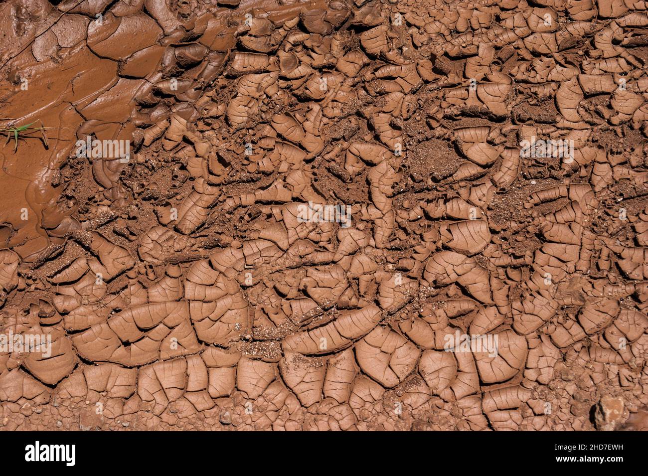 Indian red soil hi-res stock photography and images - Alamy