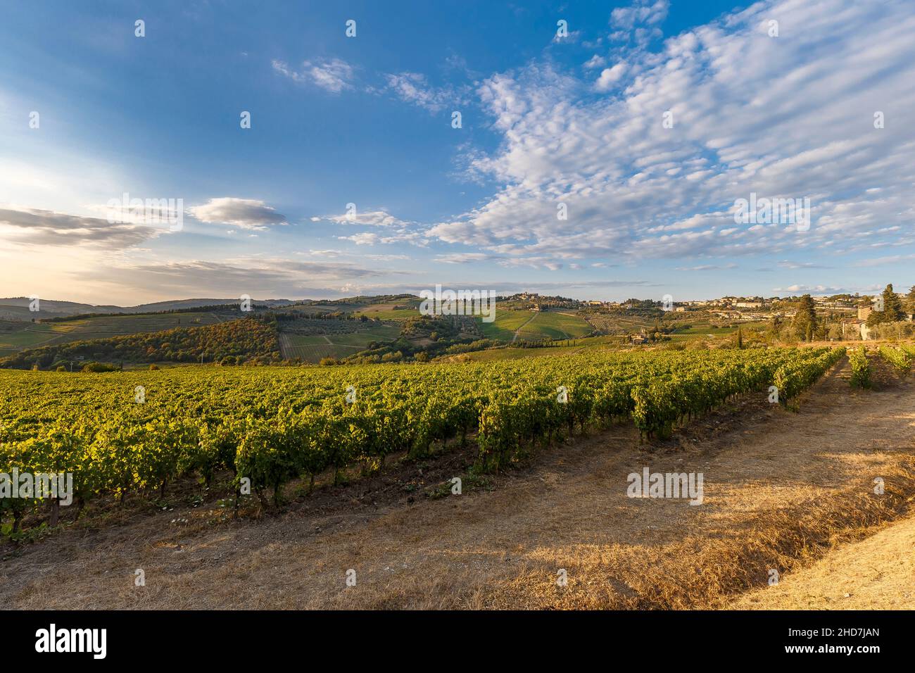 San Gimignano, Italy - August 19, 2021: panoramic view shot in a bright ...