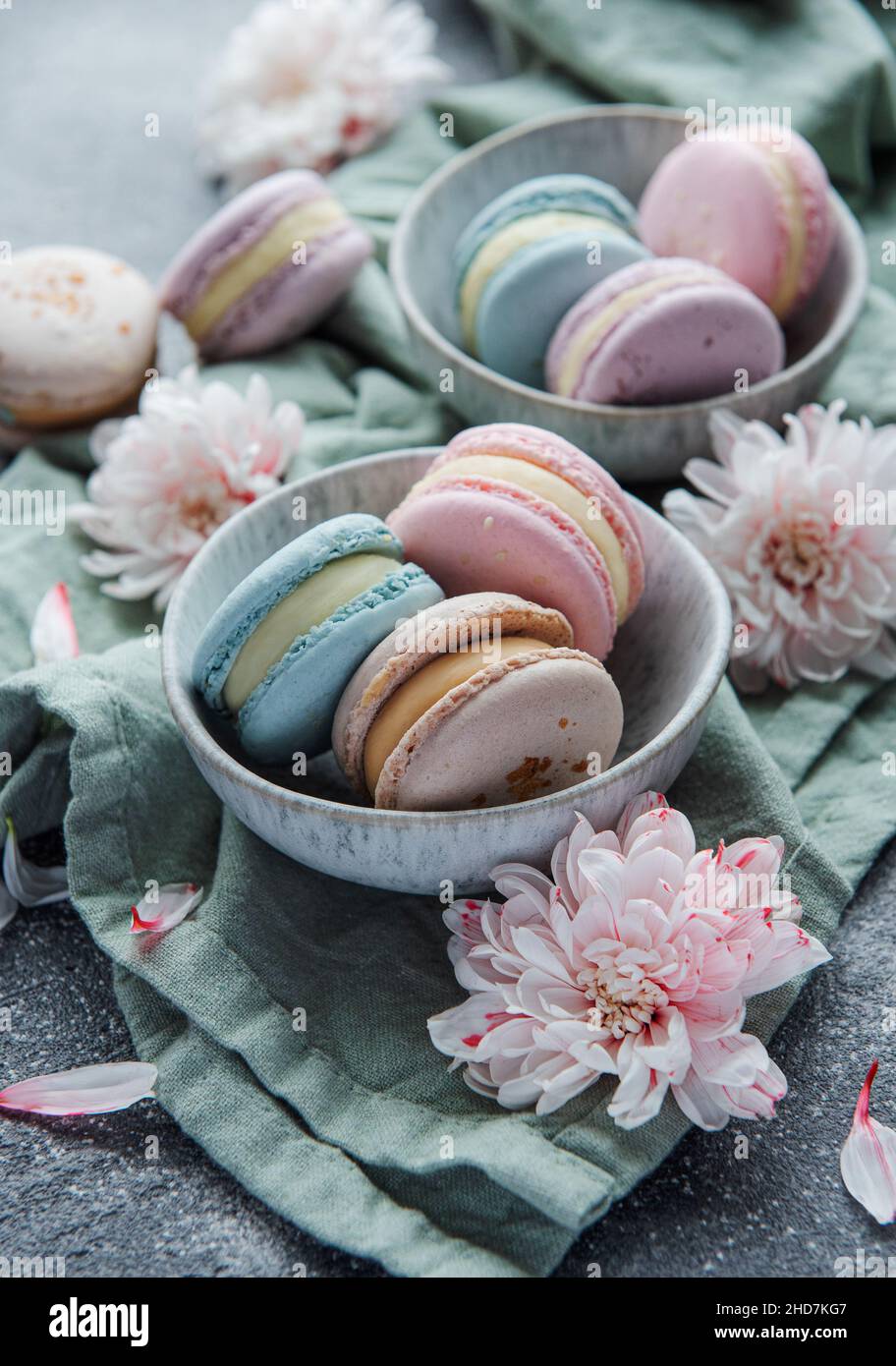Beautiful colorful tasty macaroons and white flowers on a concrete ...