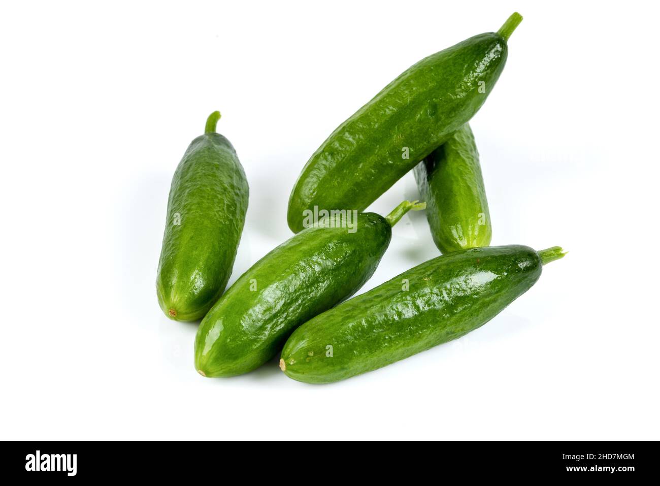 Freshly harvested mini cucumber on isolated white background Stock ...