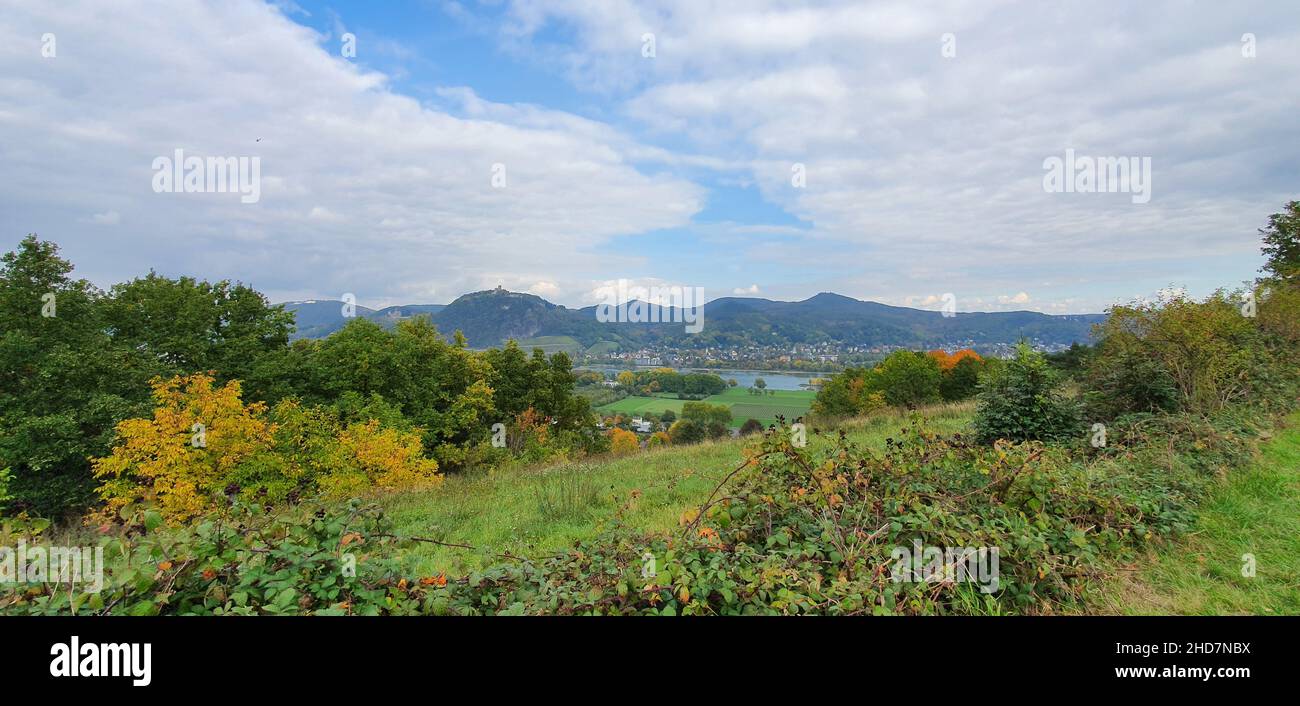 Meadow riverside forest hi-res stock photography and images - Alamy