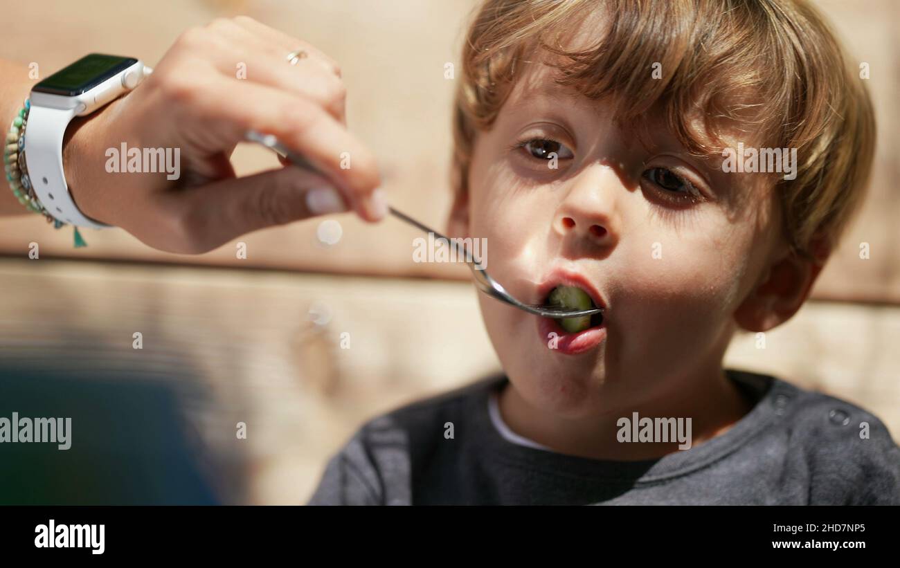 Feeding little boy food outside during lunch Stock Photo - Alamy