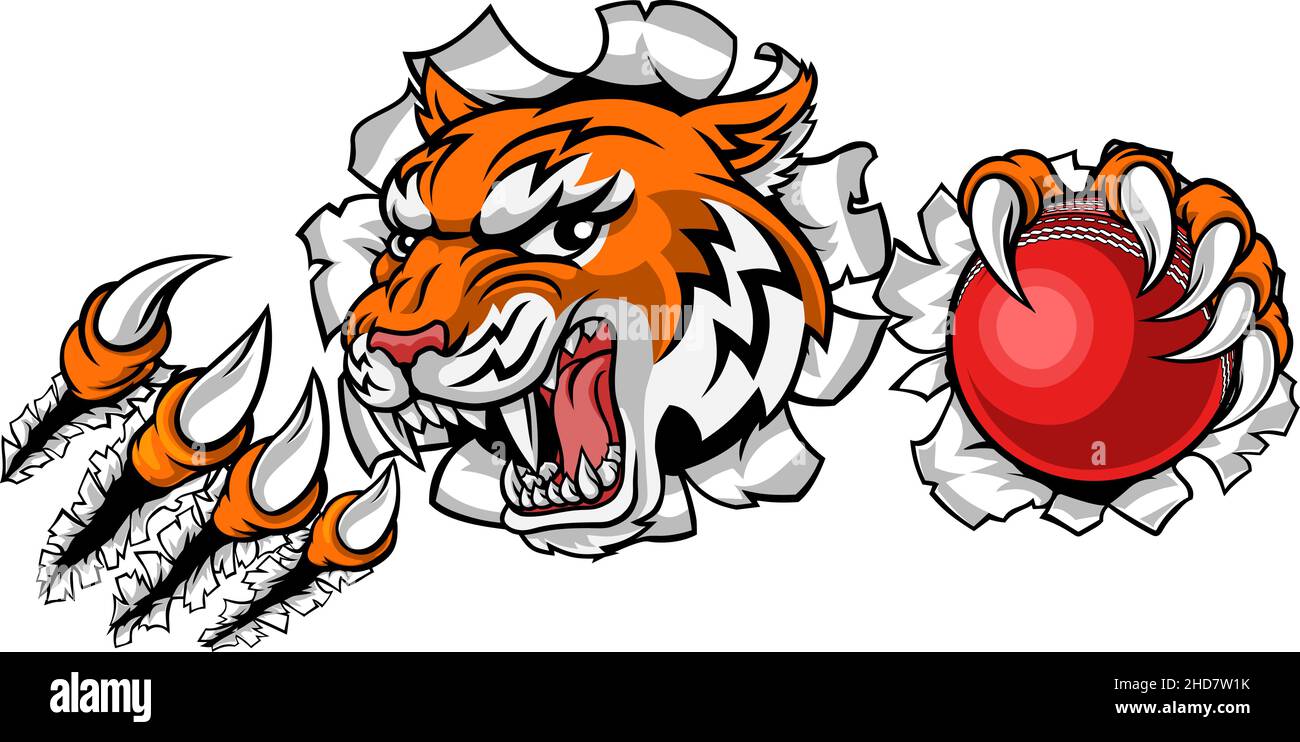 Tiger cricket Cut Out Stock Images & Pictures - Alamy