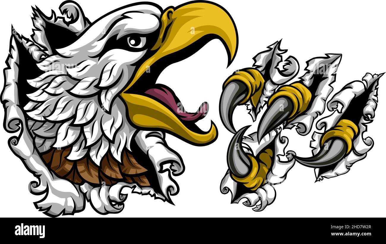 American bald eagle head angry Stock Vector Images - Alamy