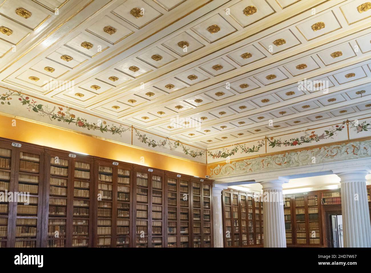 Macerata Library, Ceiling, Marche, Italy, Europe Stock Photo - Alamy
