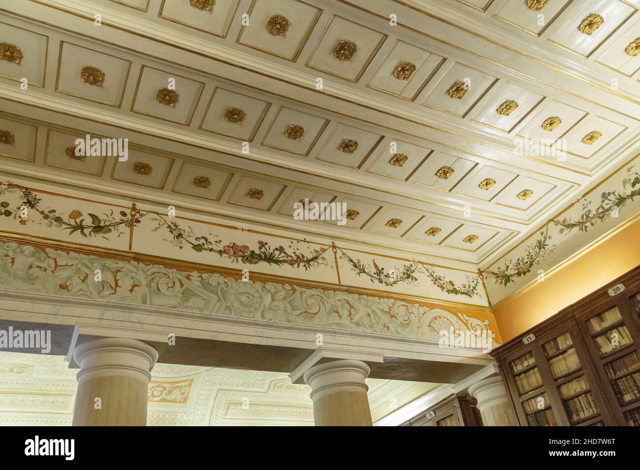 Library ceiling hi-res stock photography and images - Alamy