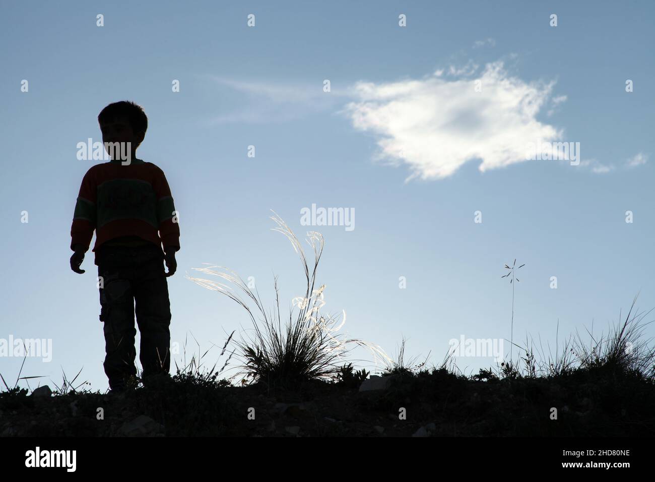 cute boy playing alone in nature Stock Photo - Alamy