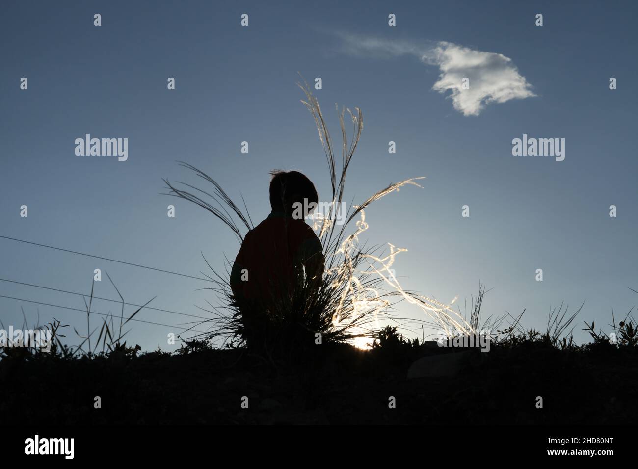 cute boy playing alone in nature Stock Photo - Alamy