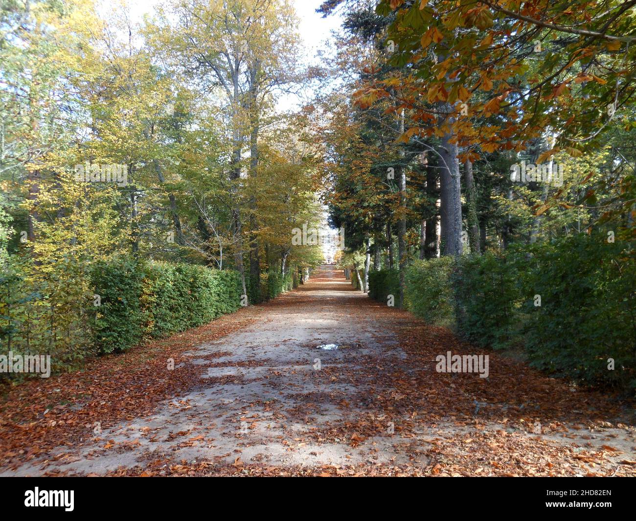 Romantic walk natural scenery hi-res stock photography and images - Alamy