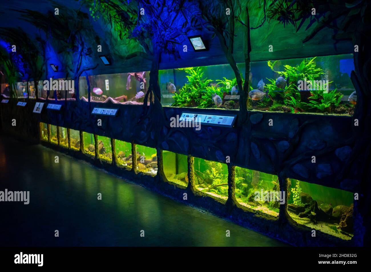 Prague, Czech Republic - January 2, 2022: Beautiful aquarium with ...