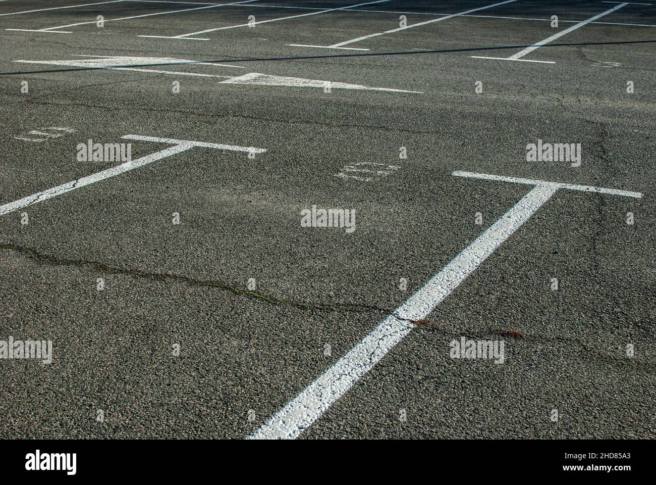 Marking lines of parking lot surface closeup Stock Photo - Alamy