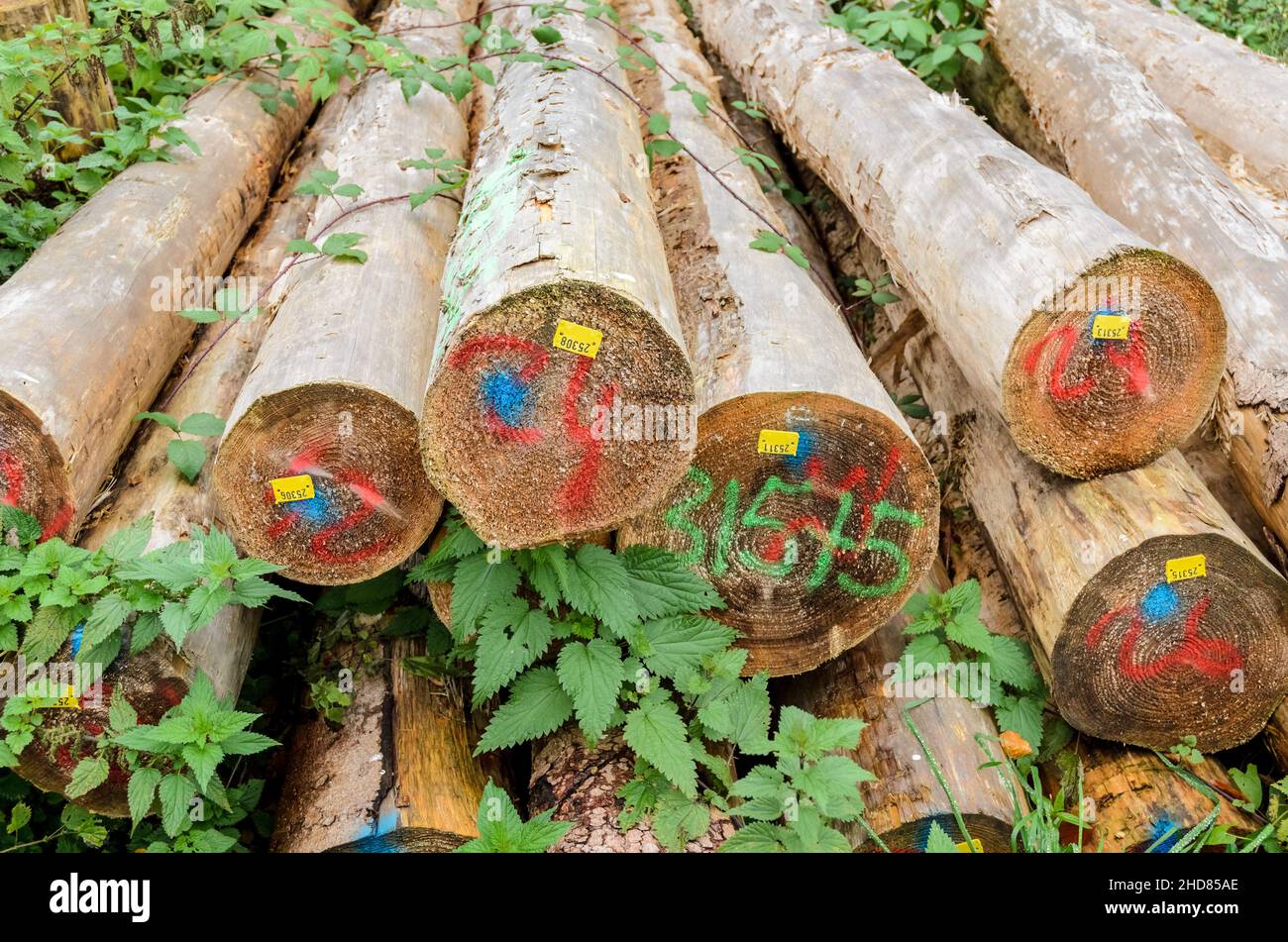 Wooden markings hi-res stock photography and images - Alamy