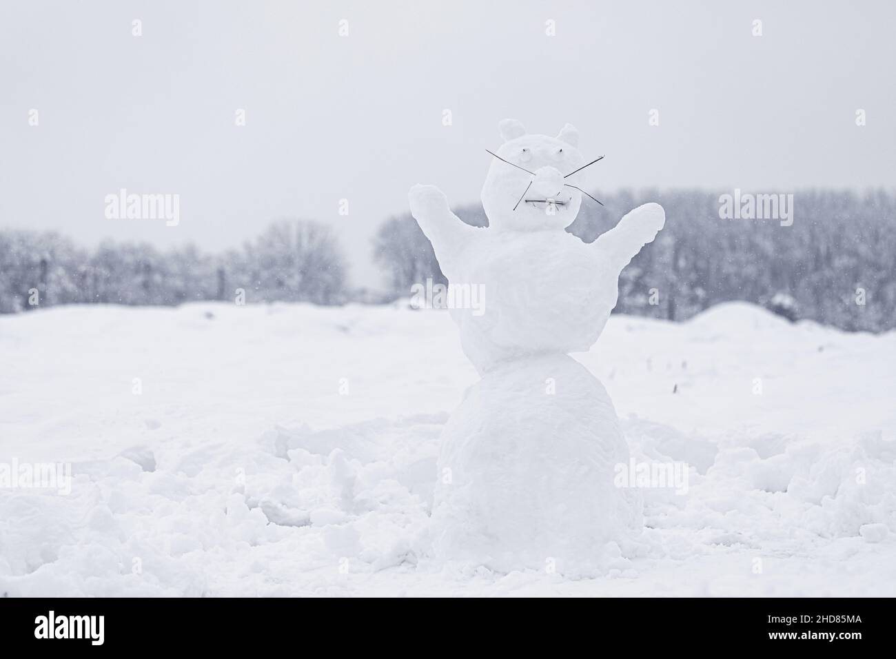 The figure of funny snowman animal in snowy field Stock Photo - Alamy