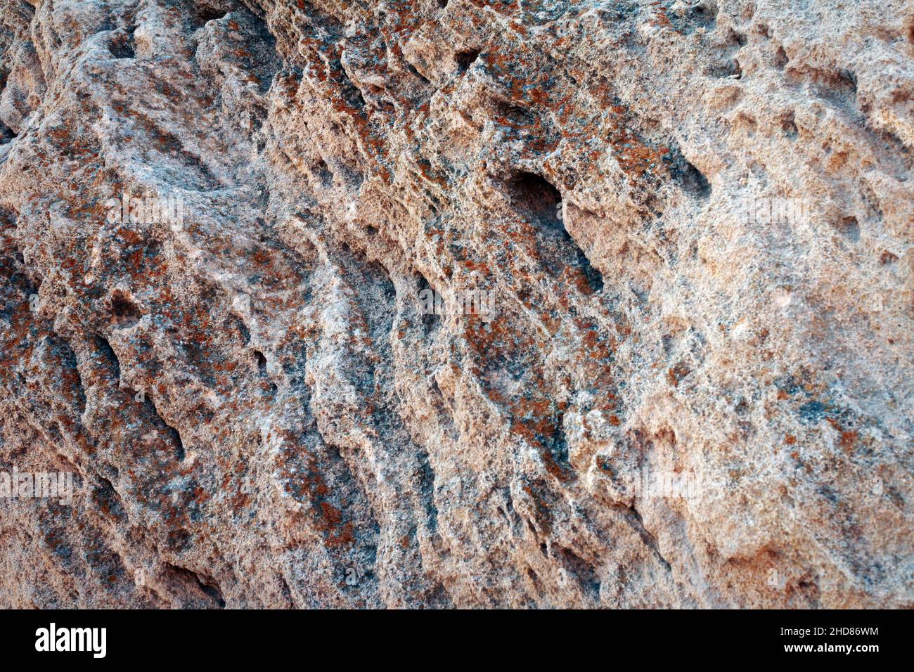 Surface sandy rock. Rocky shore of the Caspian Sea Stock Photo - Alamy