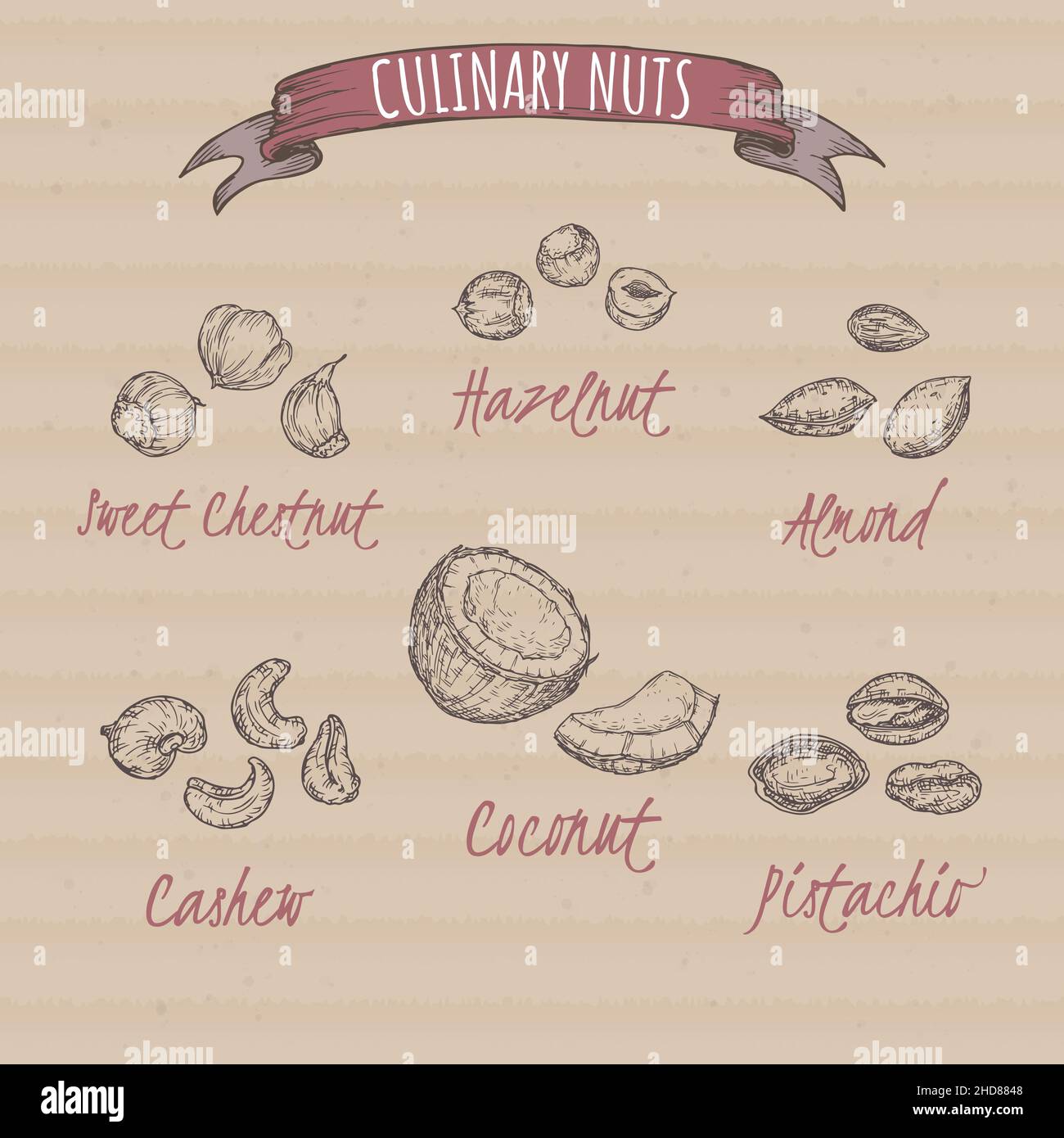 Set of six most common nuts - hazelnut, sweet chestnut, coconut, almond ...