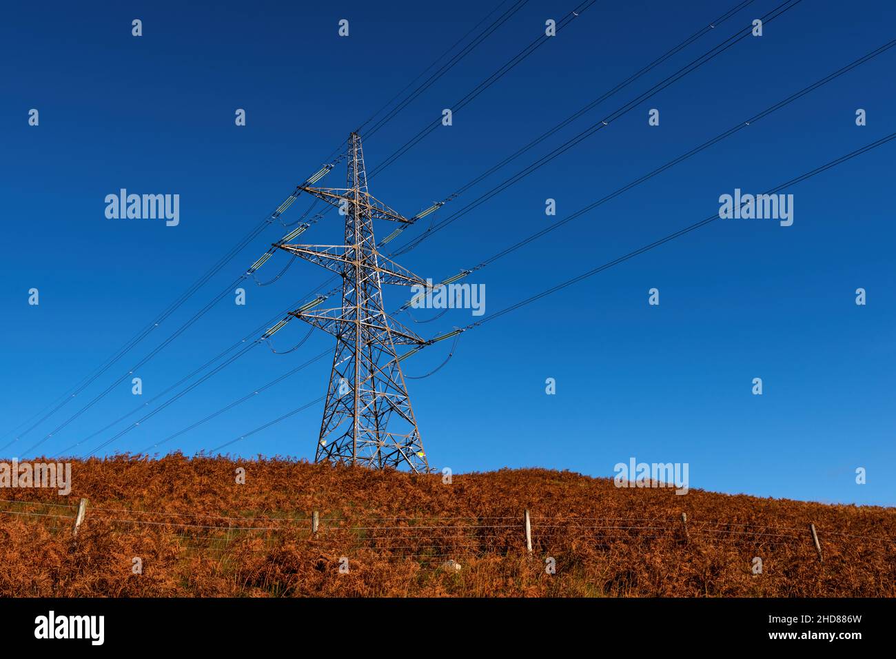 Hydro transmission tower hi-res stock photography and images - Alamy