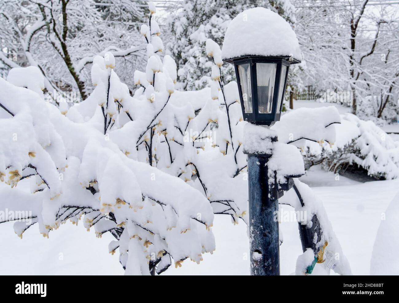 Outdoor lighting hi-res stock photography and images - Alamy