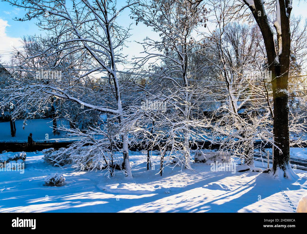 neighborhood street blanketed in snow Stock Photo - Alamy