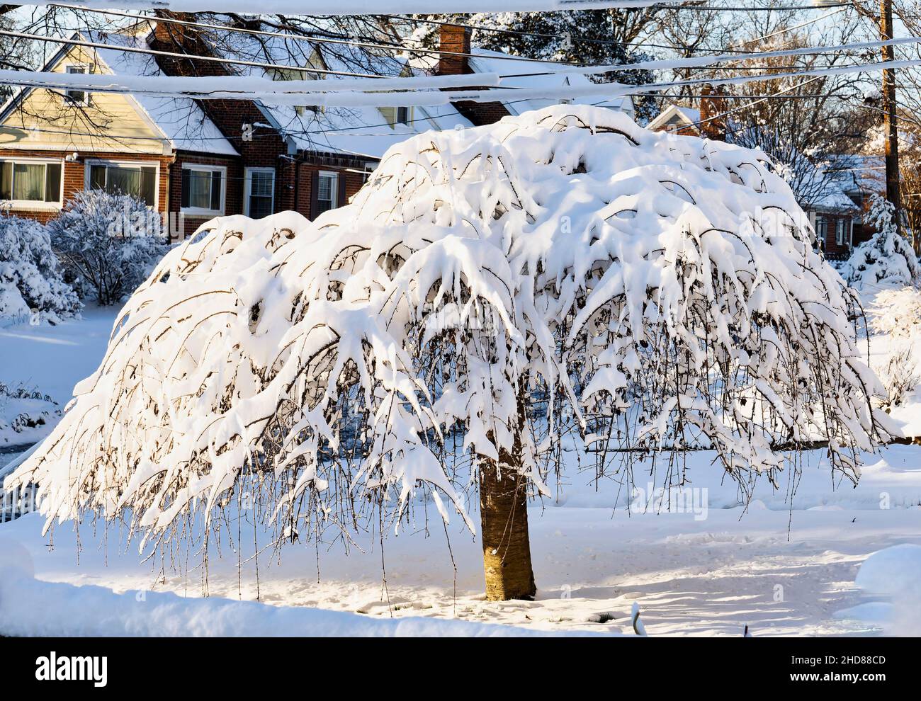 An urban street scene in the snow hi-res stock photography and images ...