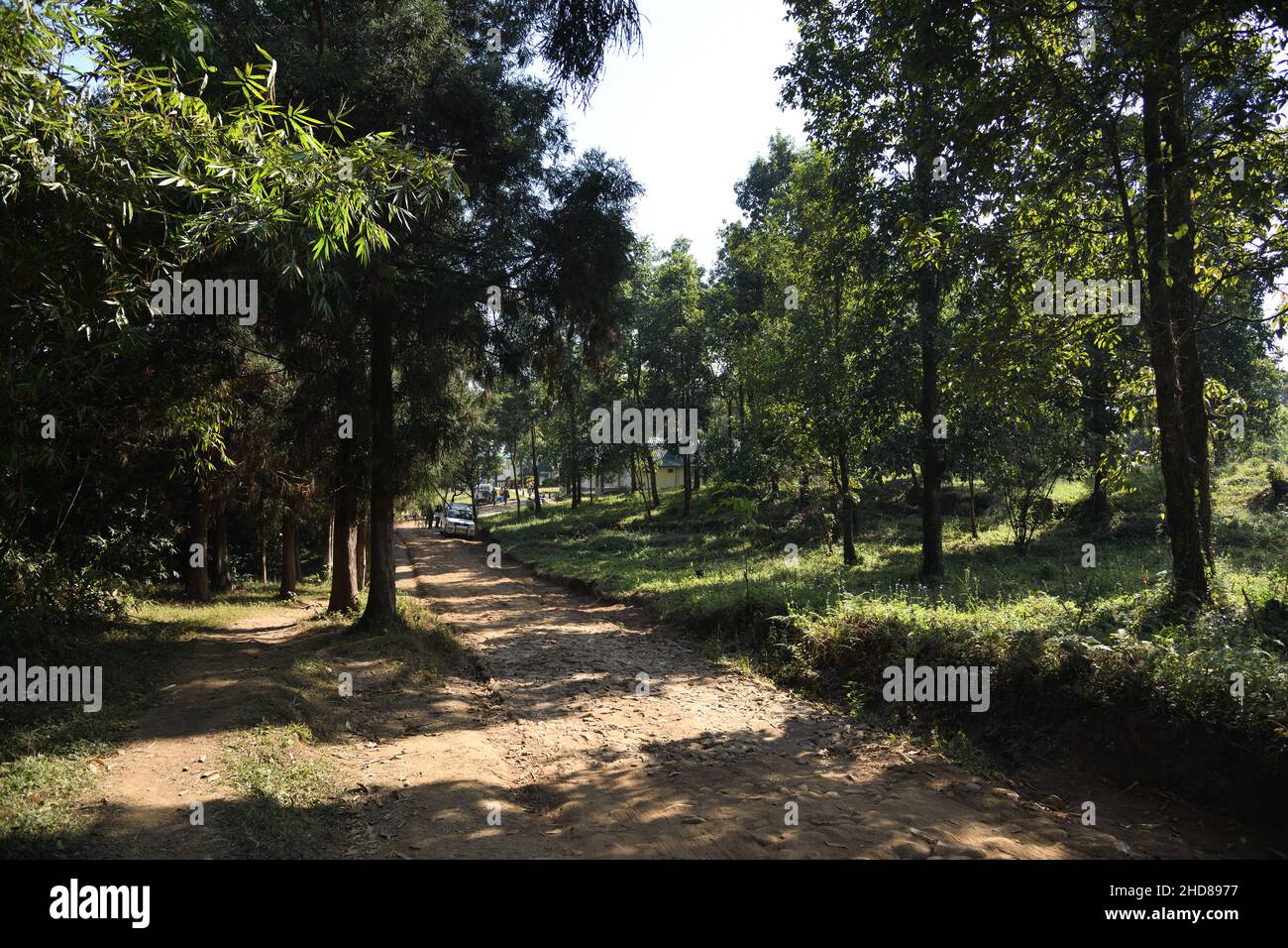 Dalgaon view point road (altitude 2500 ft). Kalimpong, West Bengal ...