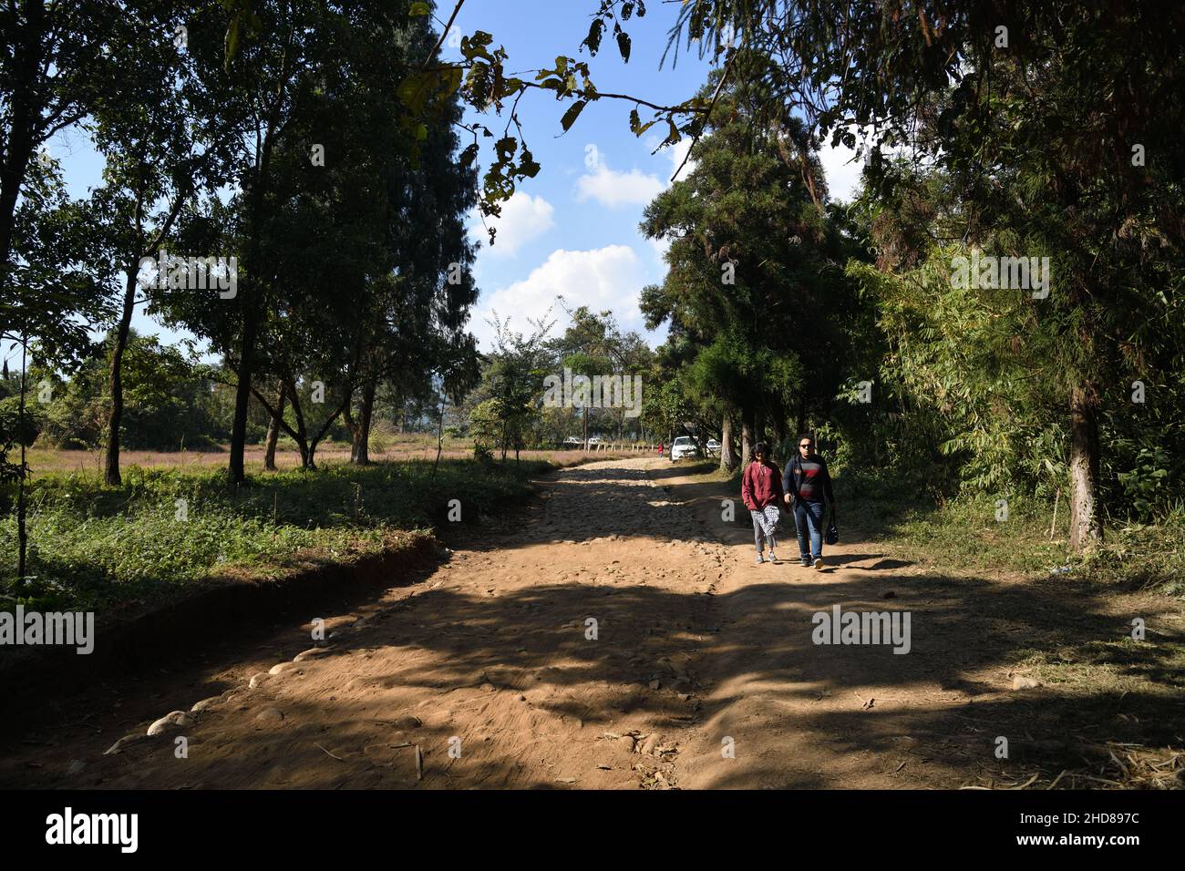 Dalgaon view point road (altitude 2500 ft). Kalimpong, West Bengal ...