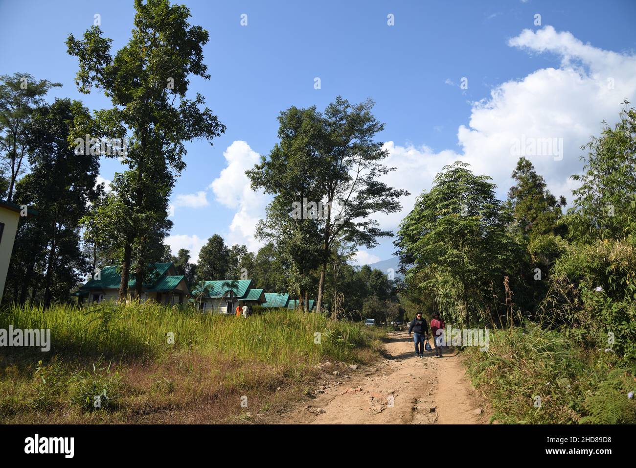Dalgaon view point road (altitude 2500 ft). Kalimpong, West Bengal ...