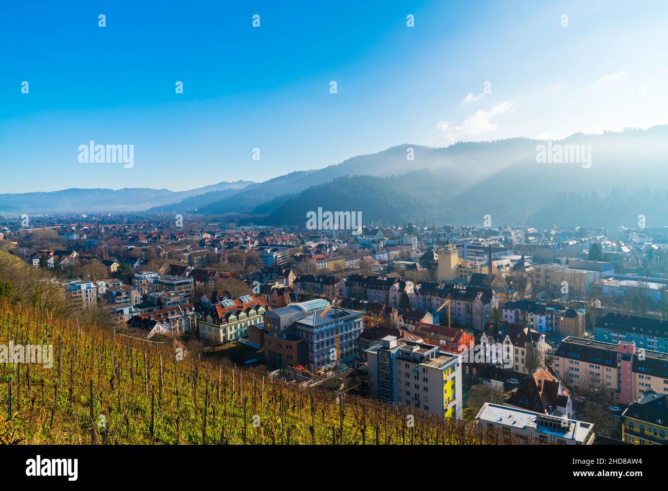 Germany, Freiburg im Breisgau city houses in valley between majestic ...