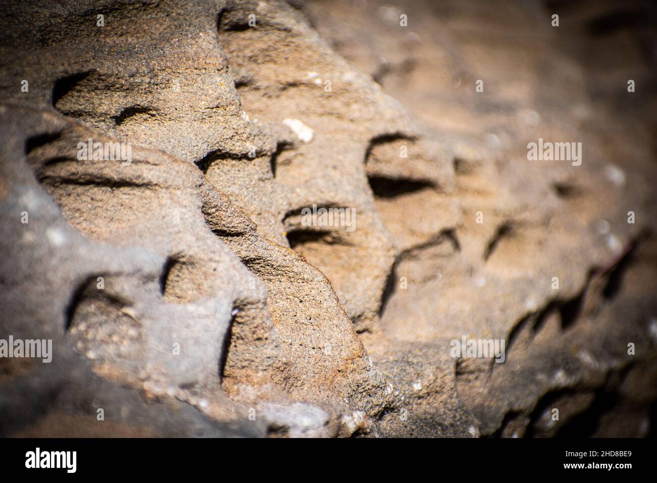 Sandstone capping stone on sea wall eroded by the weather Stock Photo ...