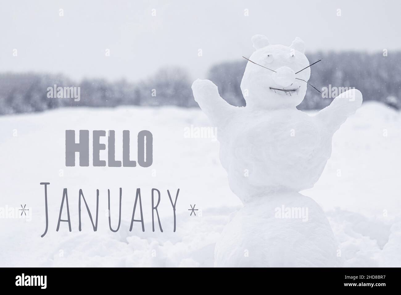 The figure of funny snowman with lettering Hello January Stock Photo ...