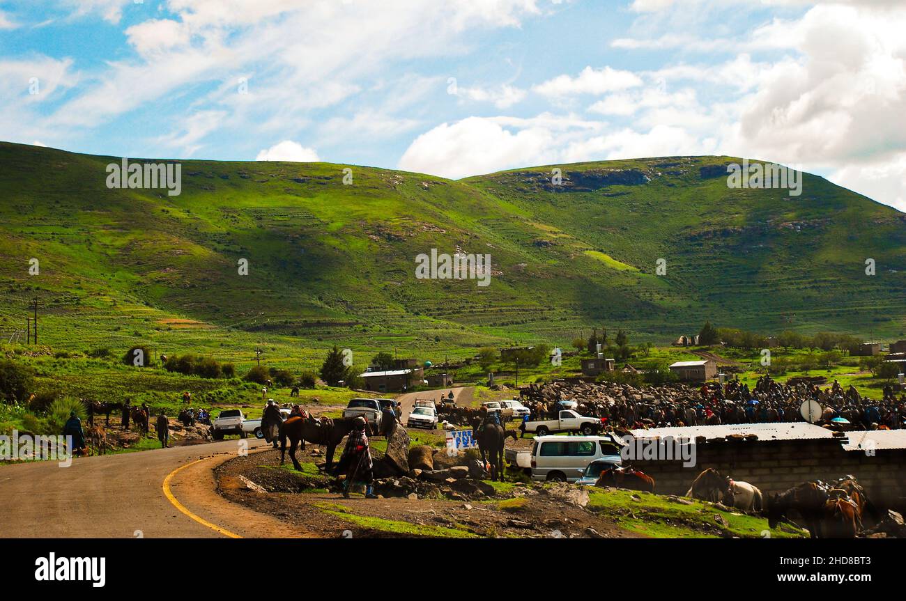 Traditional horses and donkeys market in Lesotho South Africa Stock ...