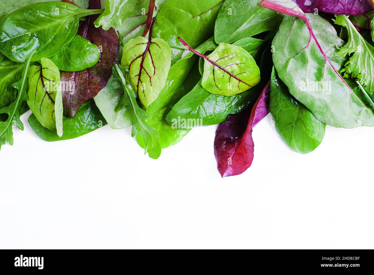 Green fresh salad leaves on white background. Isolated background. Food ...