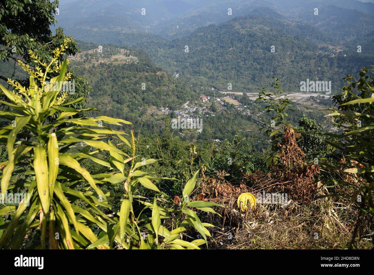 Cinchona resort hi-res stock photography and images - Alamy