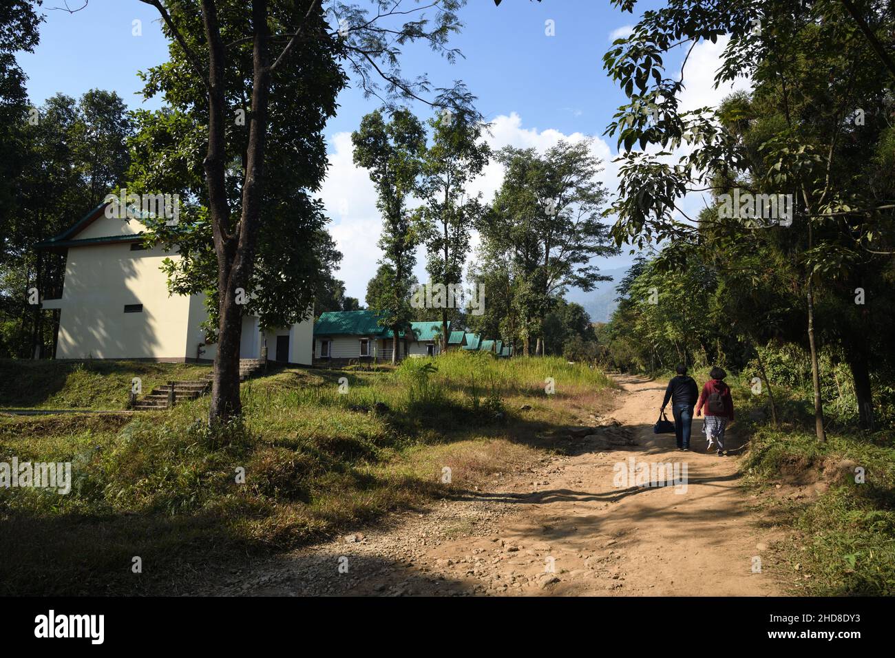 Cinchona Resort area. Dalgaon view point road (altitude 2500 ft ...