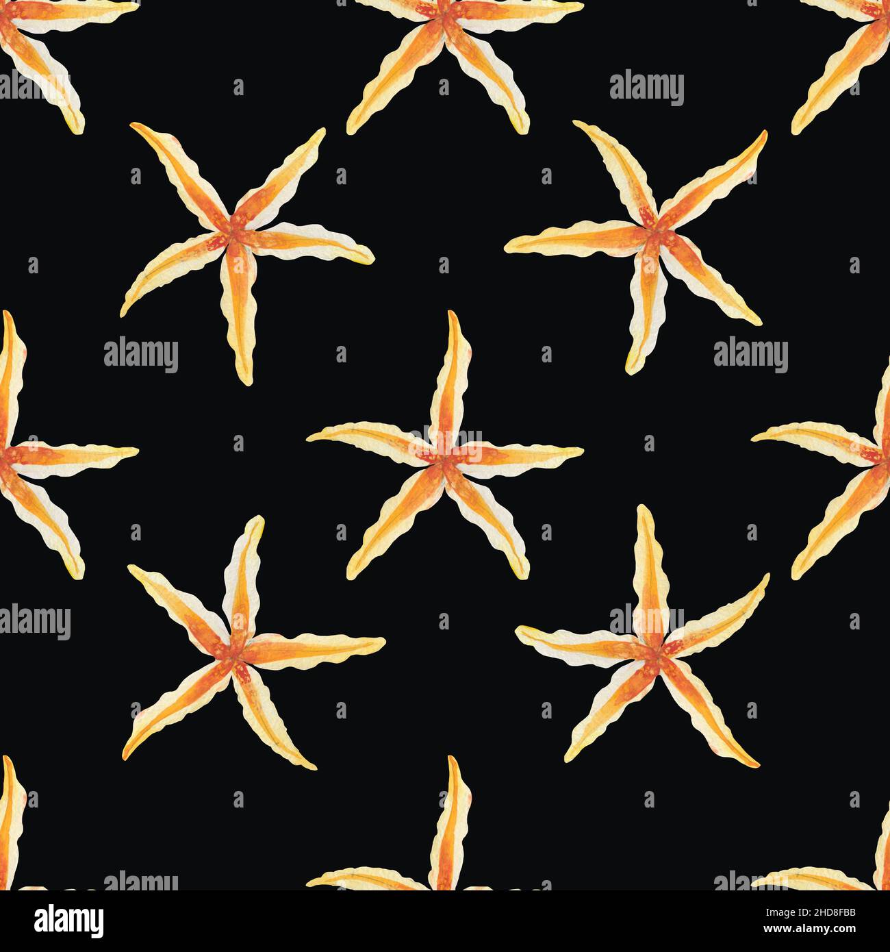 Sea, nautical, marine pattern with isolated hand painted watercolor ...