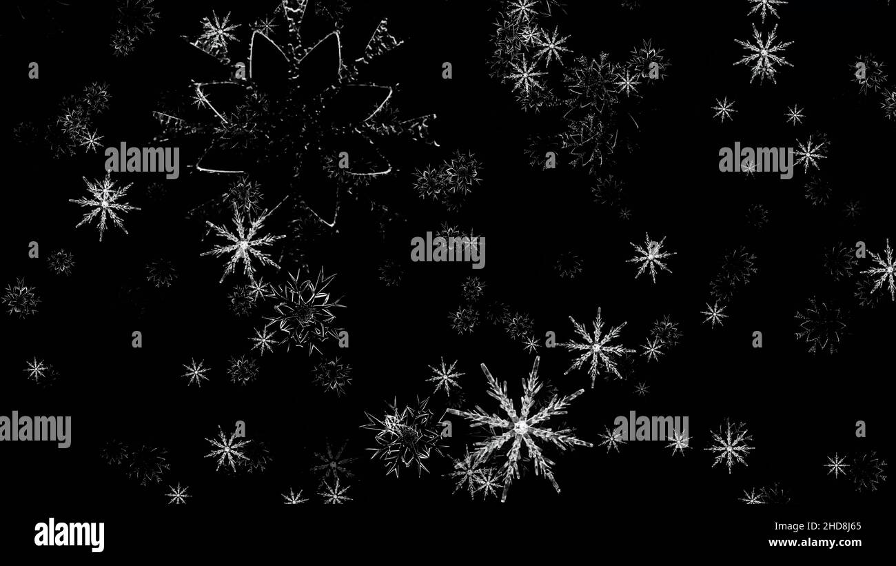 Motion background seamless loop hd design element abstract alpha hi-res ...