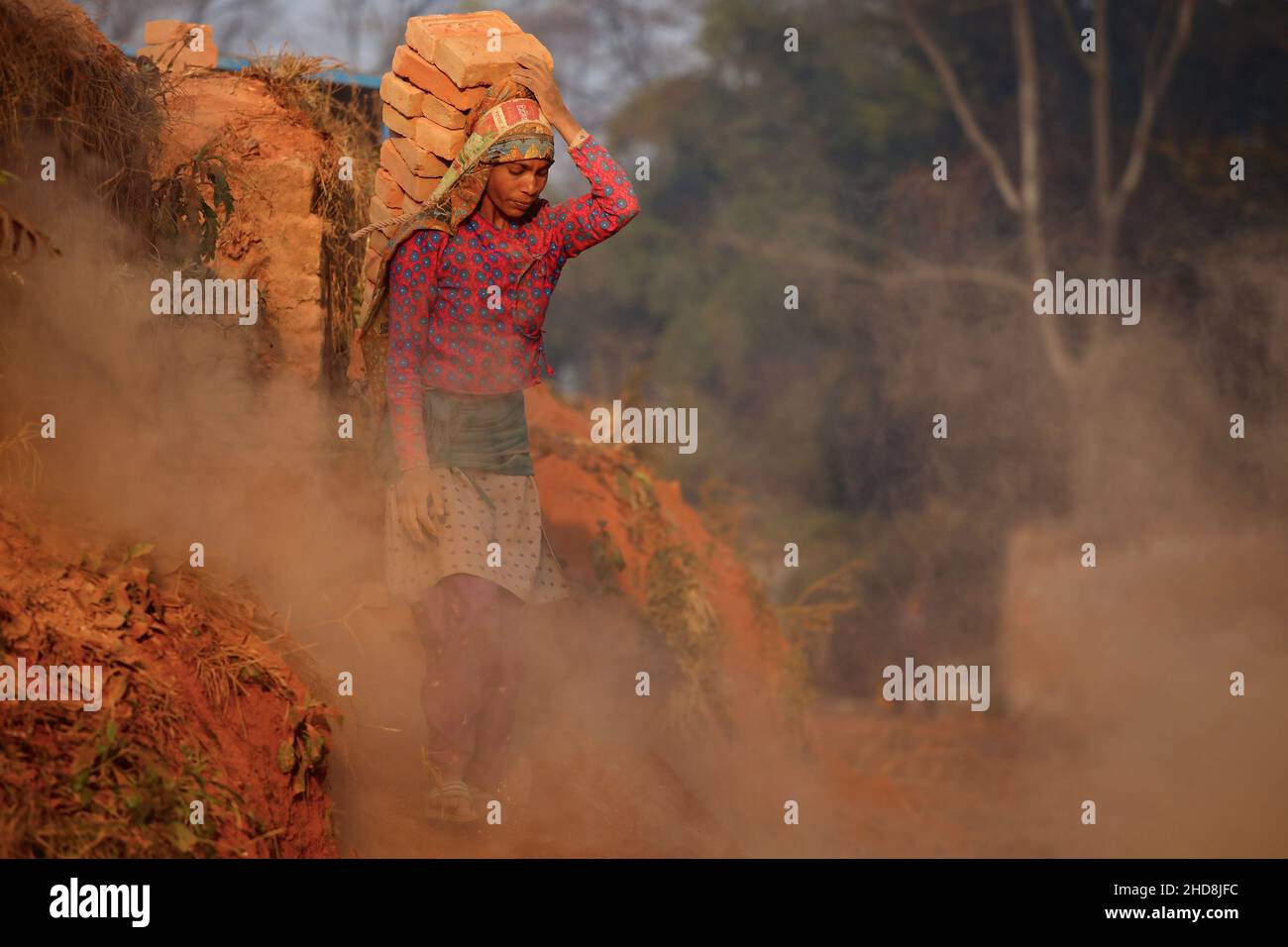 A female worker carries bricks on their backs at a brick factory in ...