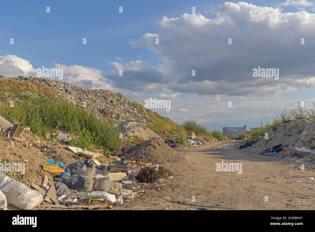 Birds over the garbage dump hi-res stock photography and images - Alamy