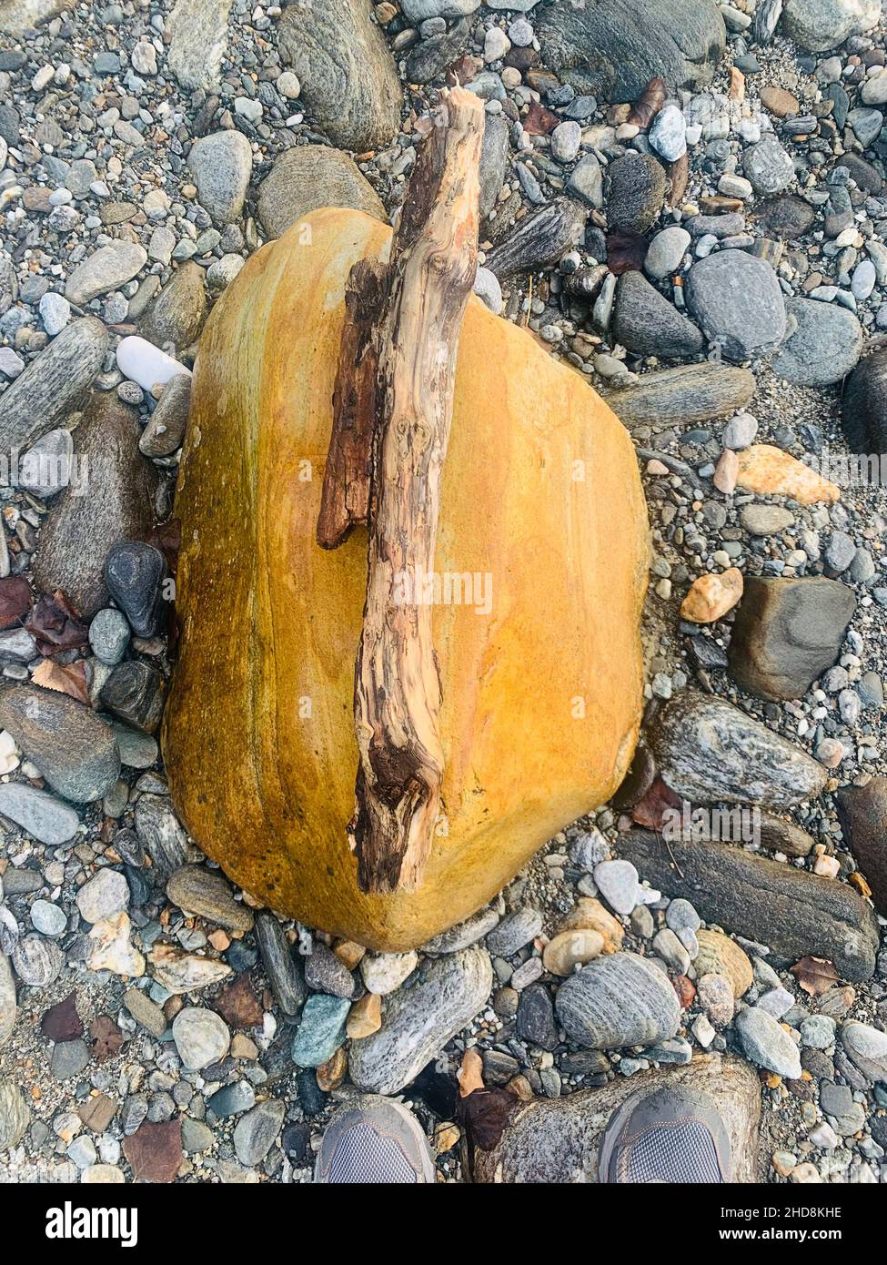 Minimalistic Natural composition along Moesa river in Switzerland Stock ...