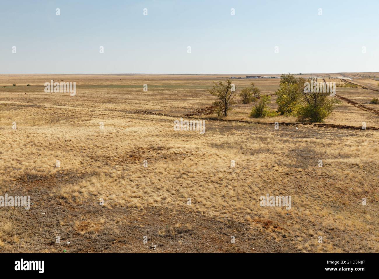 Steppe bushes hi-res stock photography and images - Alamy