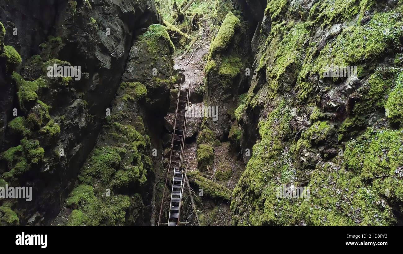 Dangerous trail through the deep gorge in green forest in the ...