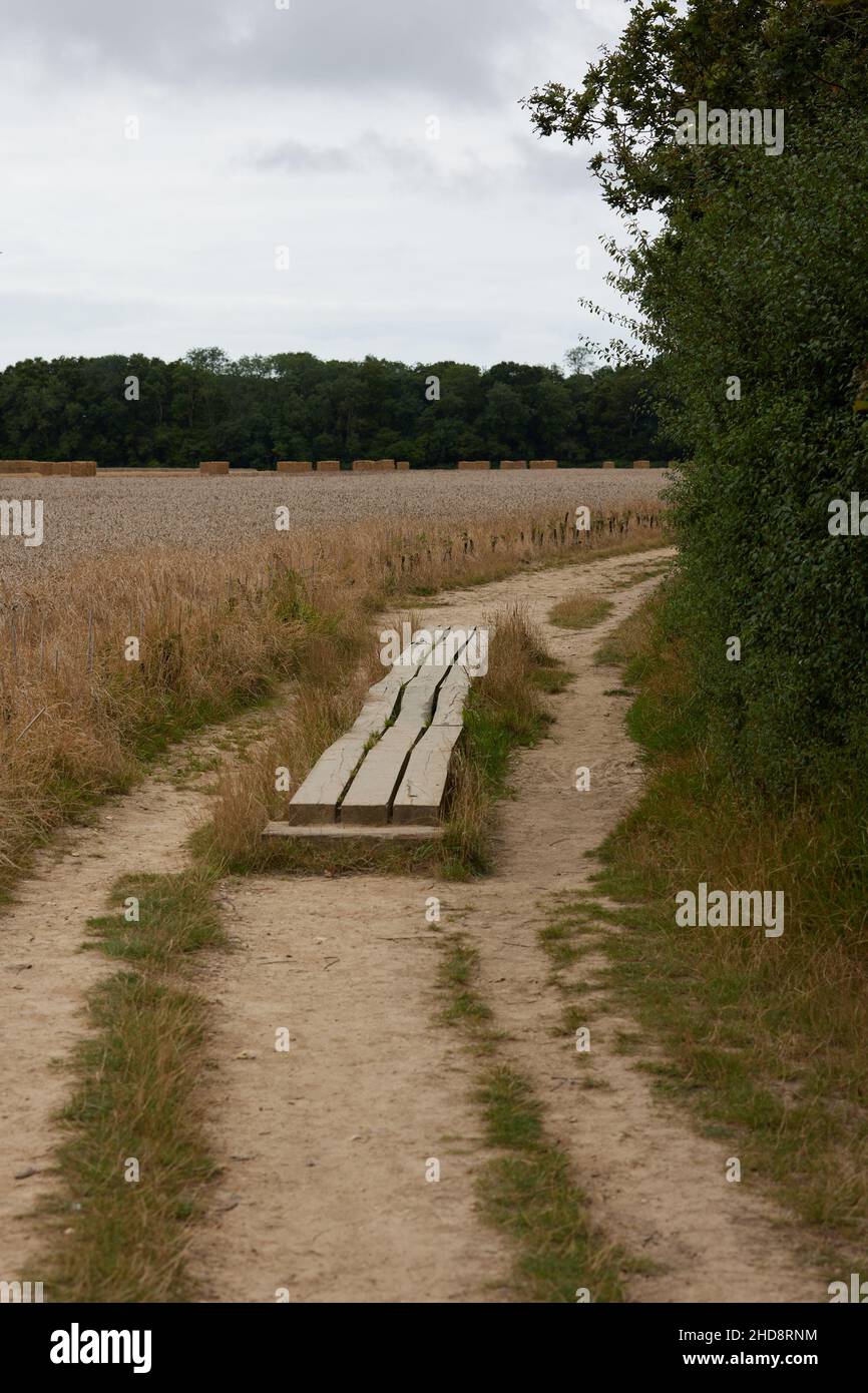 Country lane and permissive footpath seen in Chichester Harbour area ...
