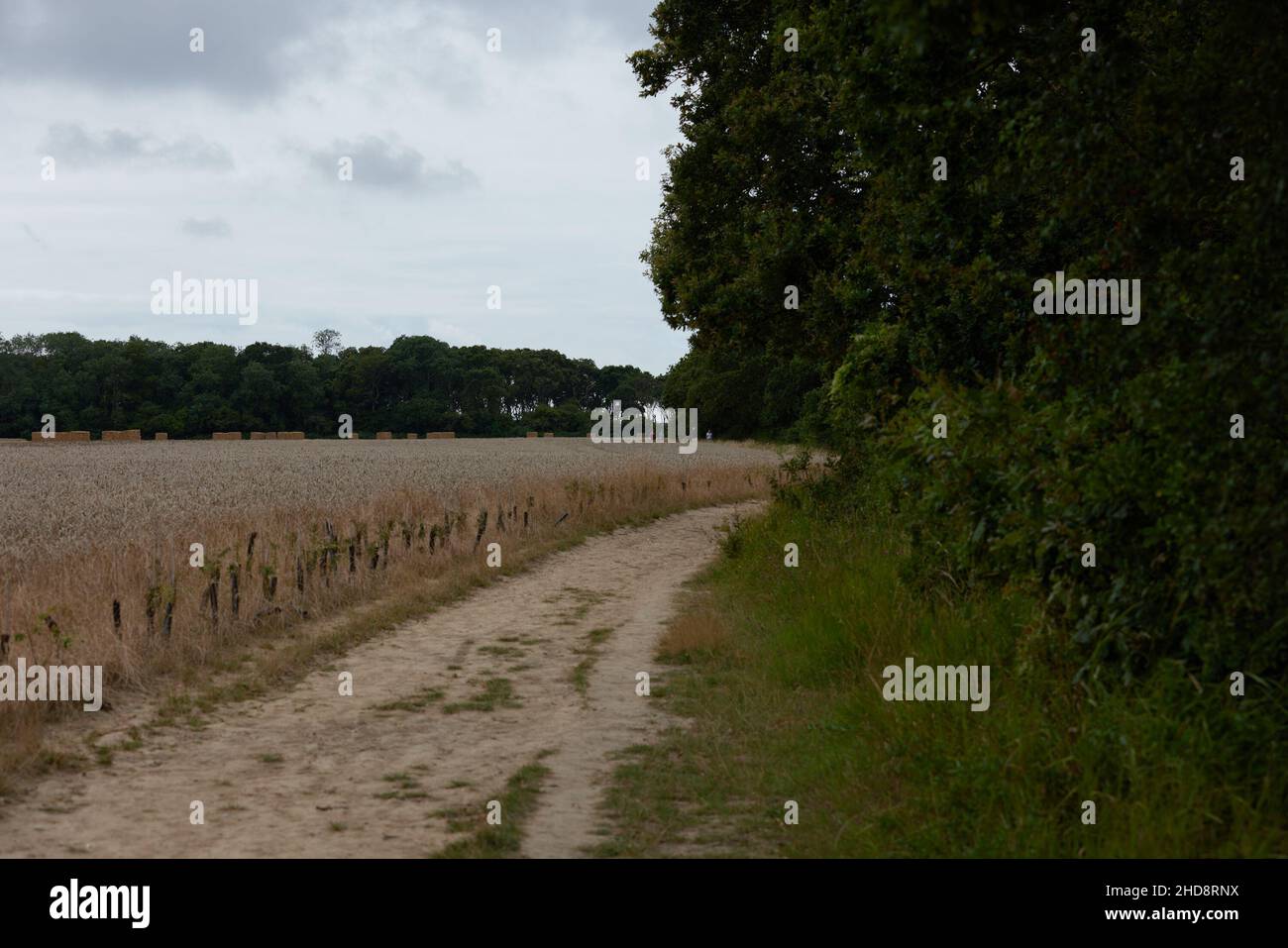 Country lane and permissive footpath seen in Chichester Harbour area ...
