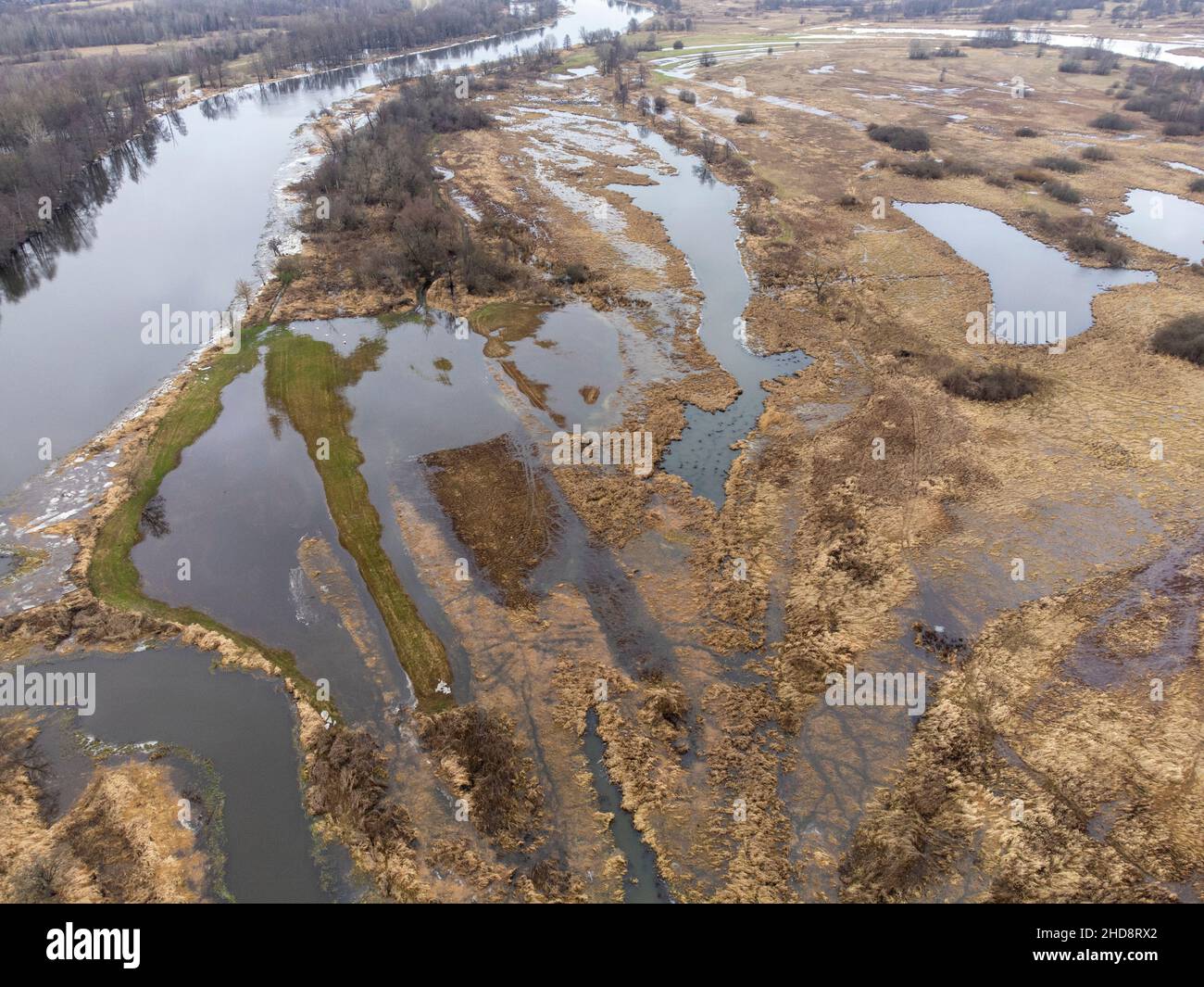 Floodplain vegetation hi-res stock photography and images - Alamy