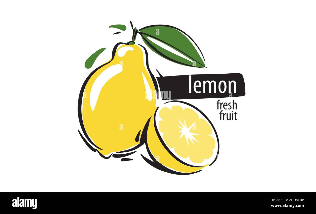 Drawn vector lemon on a white background Stock Vector Image & Art - Alamy