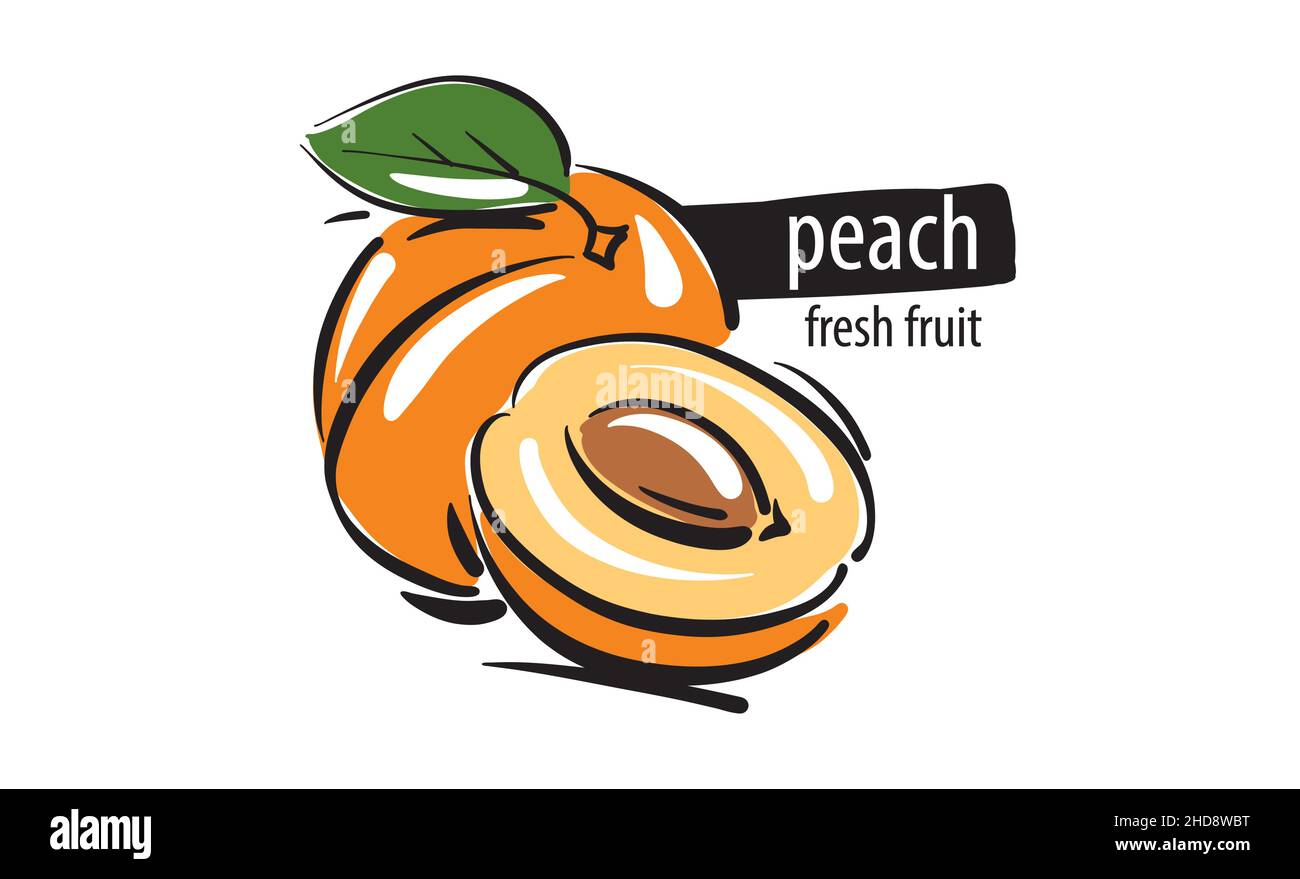 Drawn vector peach on a white background Stock Vector Image & Art - Alamy