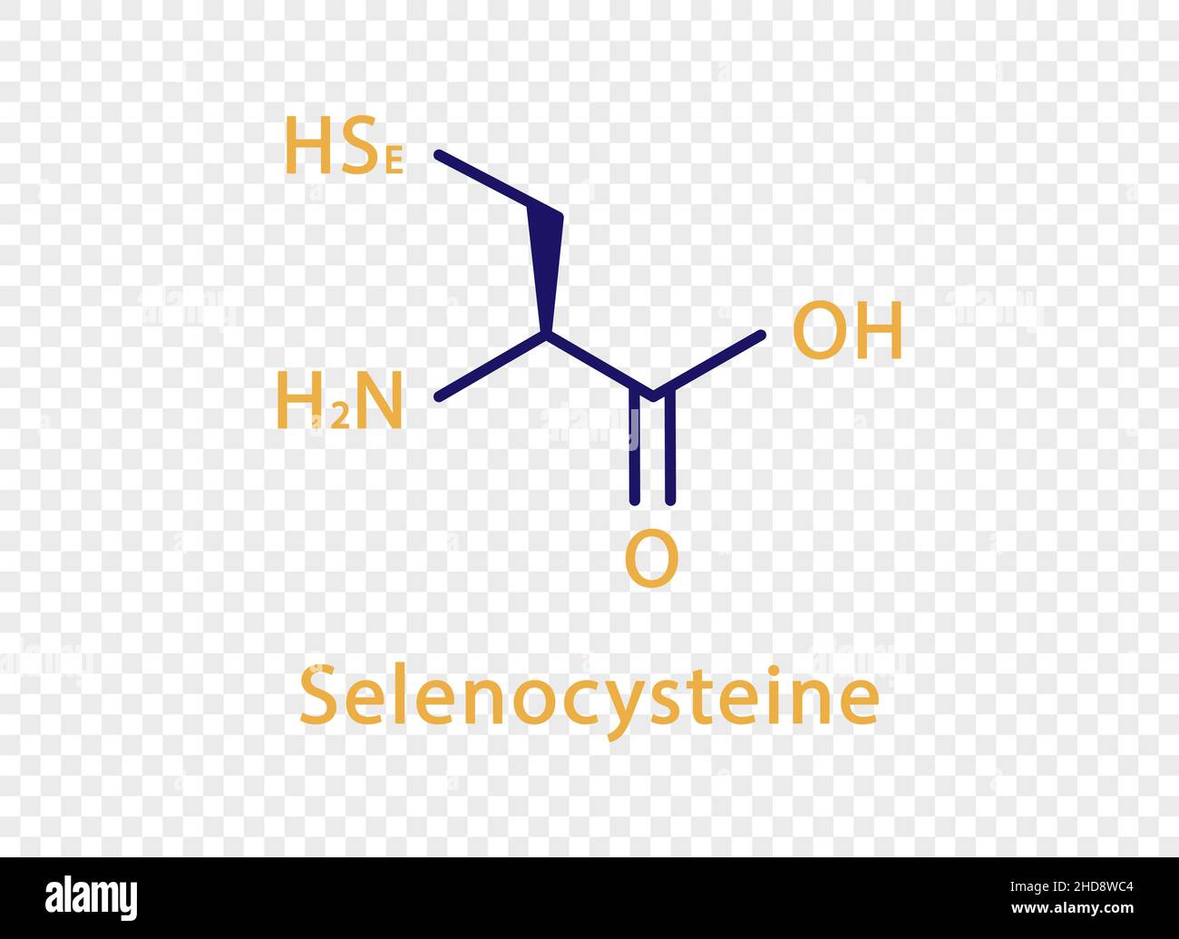 Cysteine molecule Stock Vector Images - Alamy