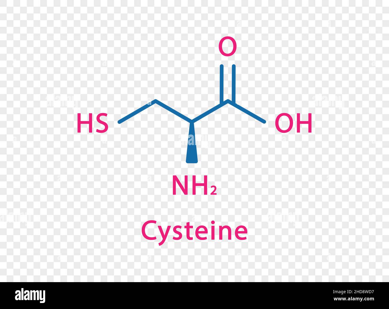 Cysteine chemical formula. Cysteine structural chemical formula ...